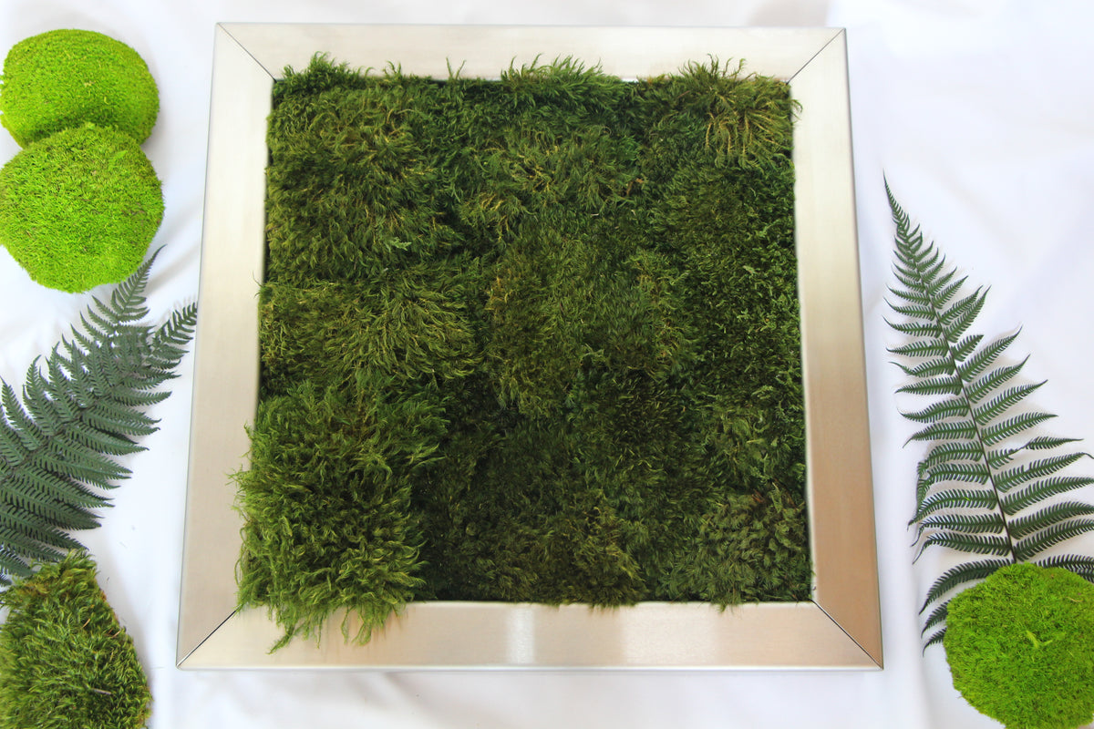 Tableau carré & mousse plate stabilisée – Greenside, la nature sur vos murs