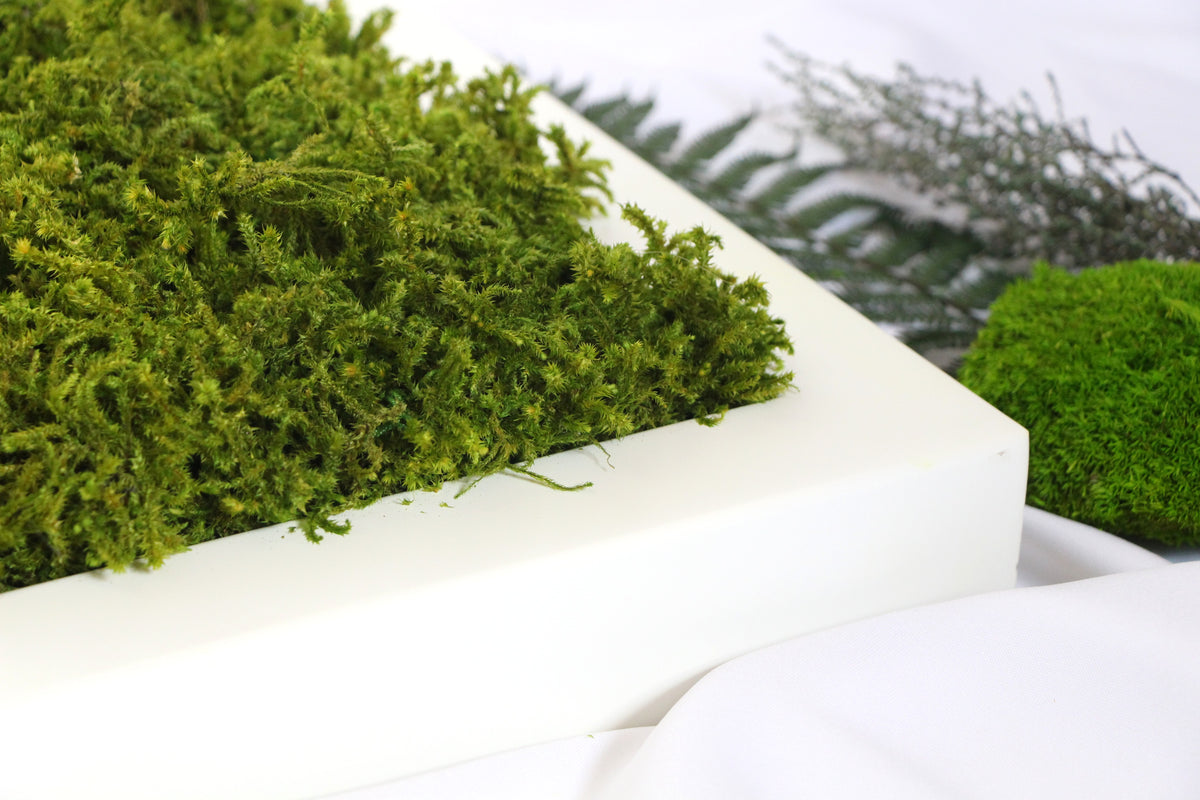 Tableau carré blanc & mousse plate stabilisée – Greenside, la nature ...